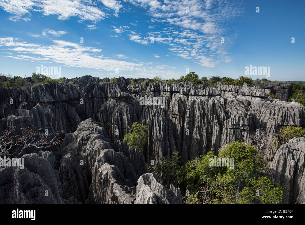 Bemaraha national park hi-res stock photography and images - Alamy