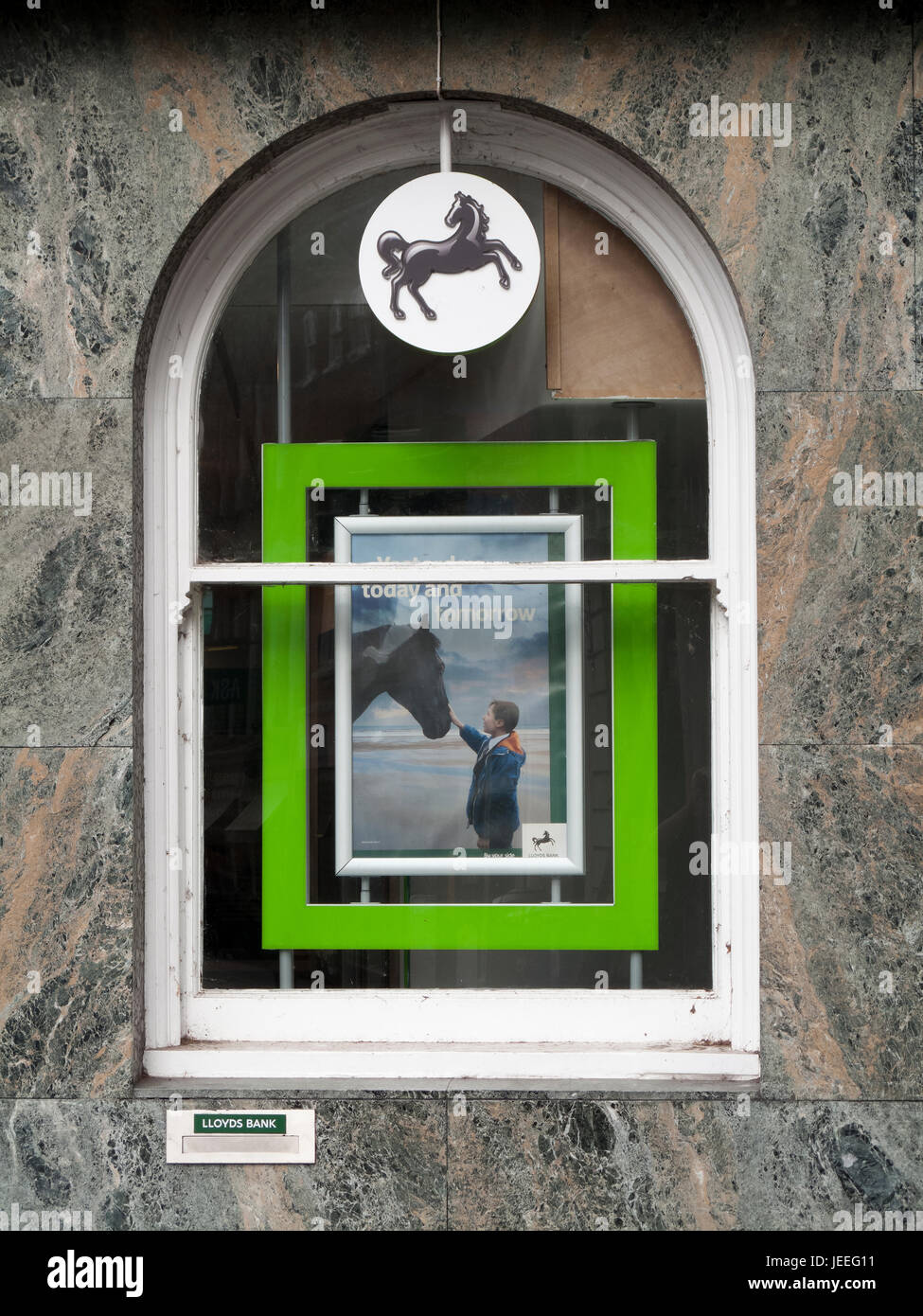 Lloyds advert black horse hi-res stock photography and images - Alamy