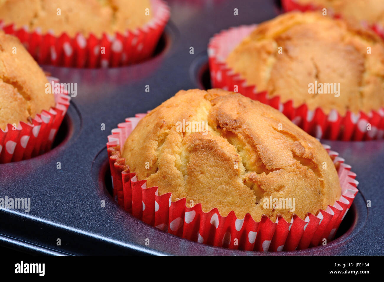 Group of muffins in a tray close-up Stock Photo - Alamy