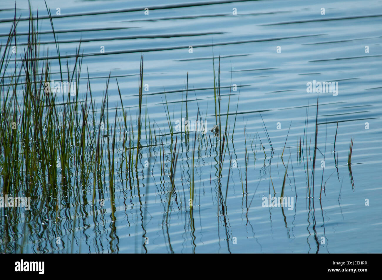 Rippled waterway hi-res stock photography and images - Alamy