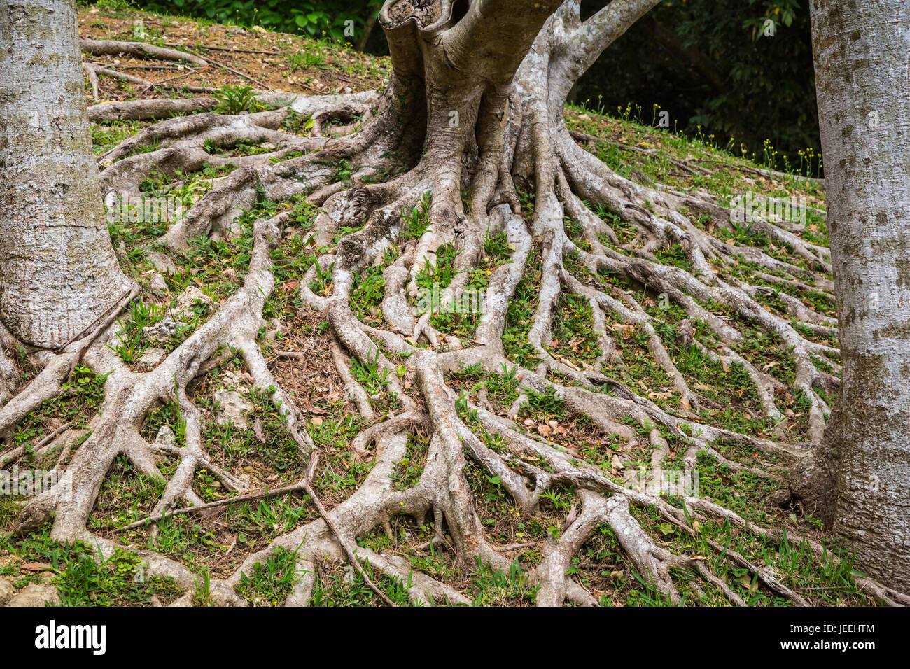 Sprawling gardens hi-res stock photography and images - Alamy