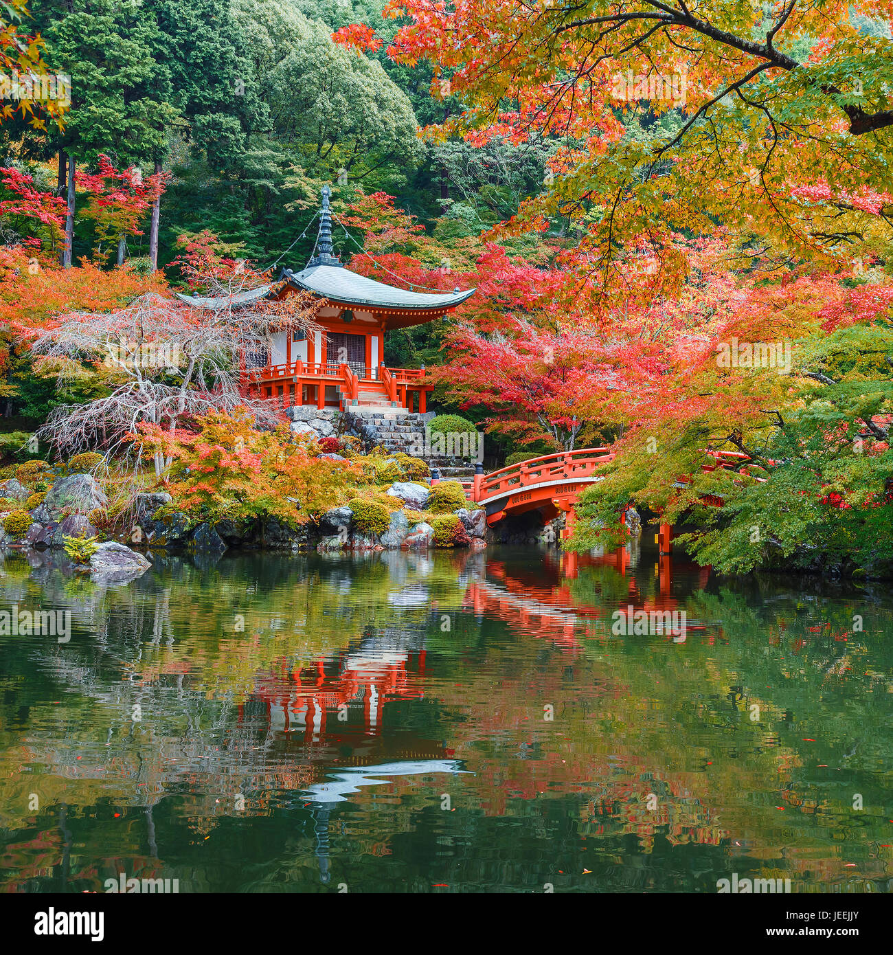 Colorful Autumn at Daigoji Temple in Kyoto, Japan Stock Photo - Alamy