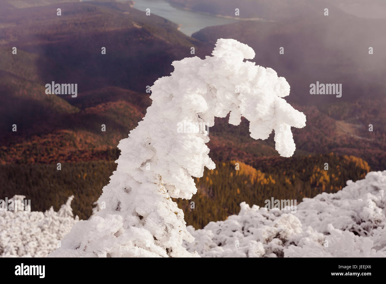 frozen tree in winter mountain landscape Stock Photo - Alamy