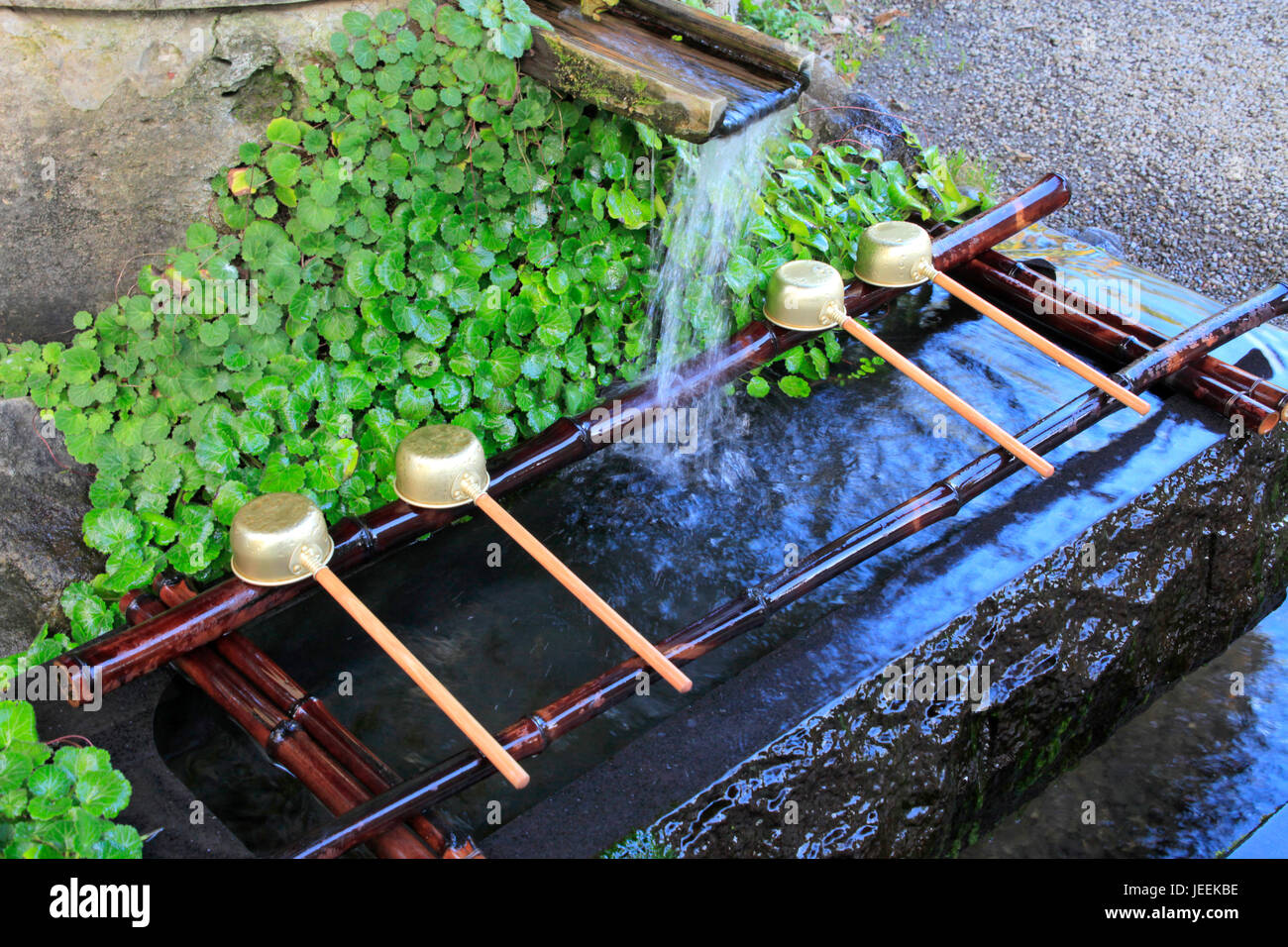 Chozuya Water Ablution Basin at Jindaiji Temple in Chofu city Tokyo ...