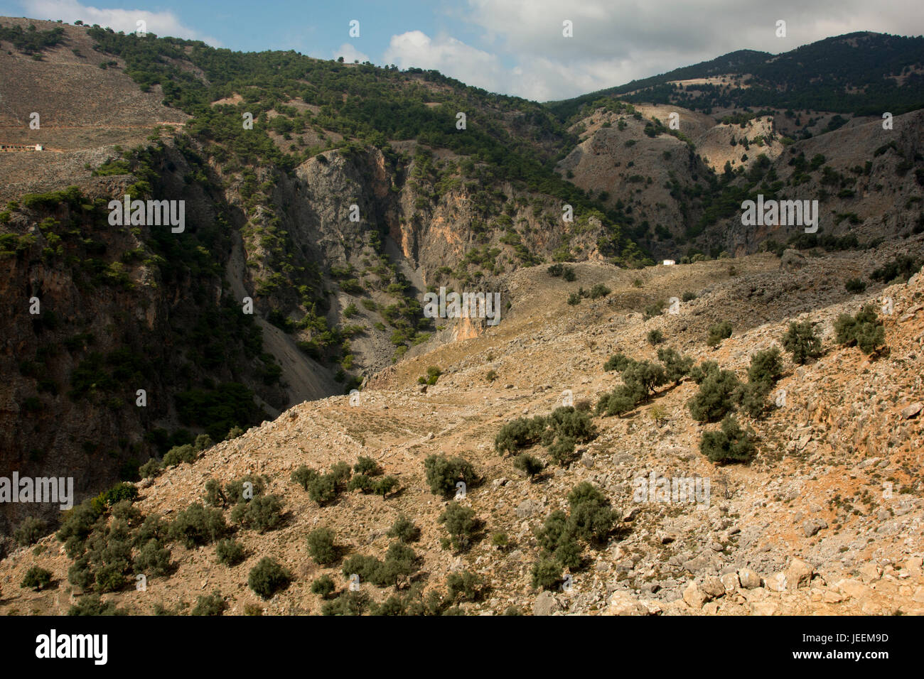 Aradena Gorge is a deep limestone canyon running from the Lefka Ori or ...