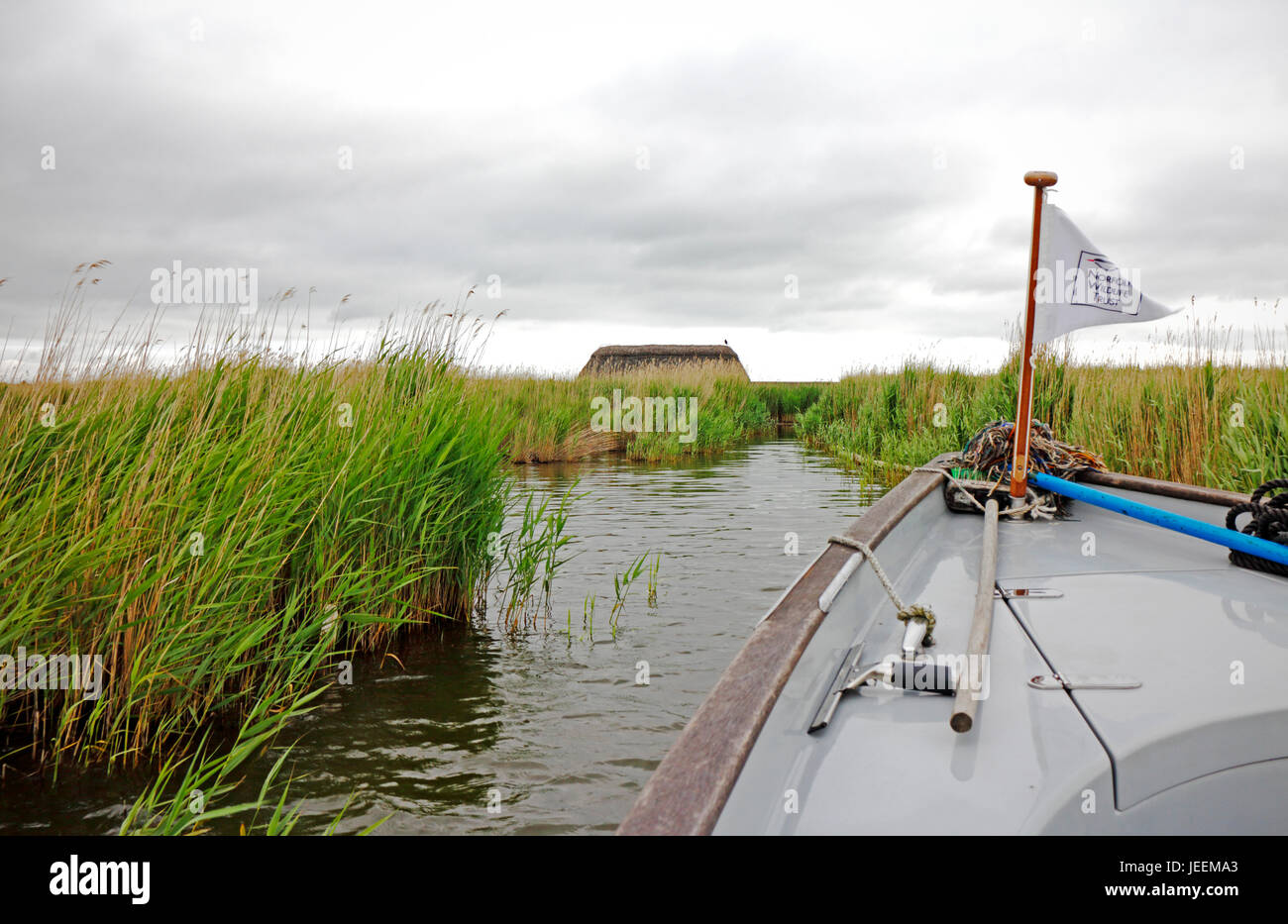 Aboard a Norfolk Wildlife Trust electric powered boat approaching Swim ...