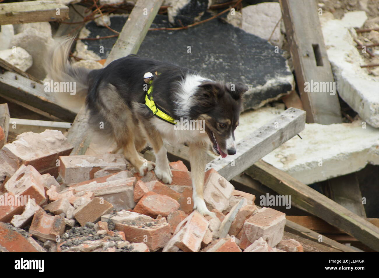 Fire Rescue Usar Rescue Equipment High Resolution Stock Photography and ...