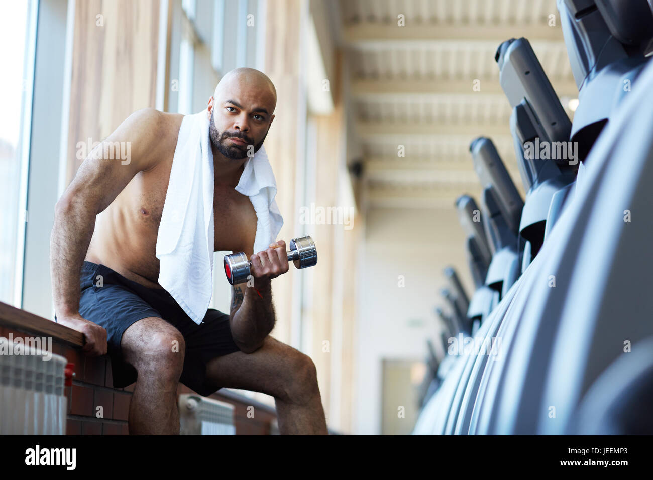 Bald young man with dumbbells working out in gym Stock Photo - Alamy