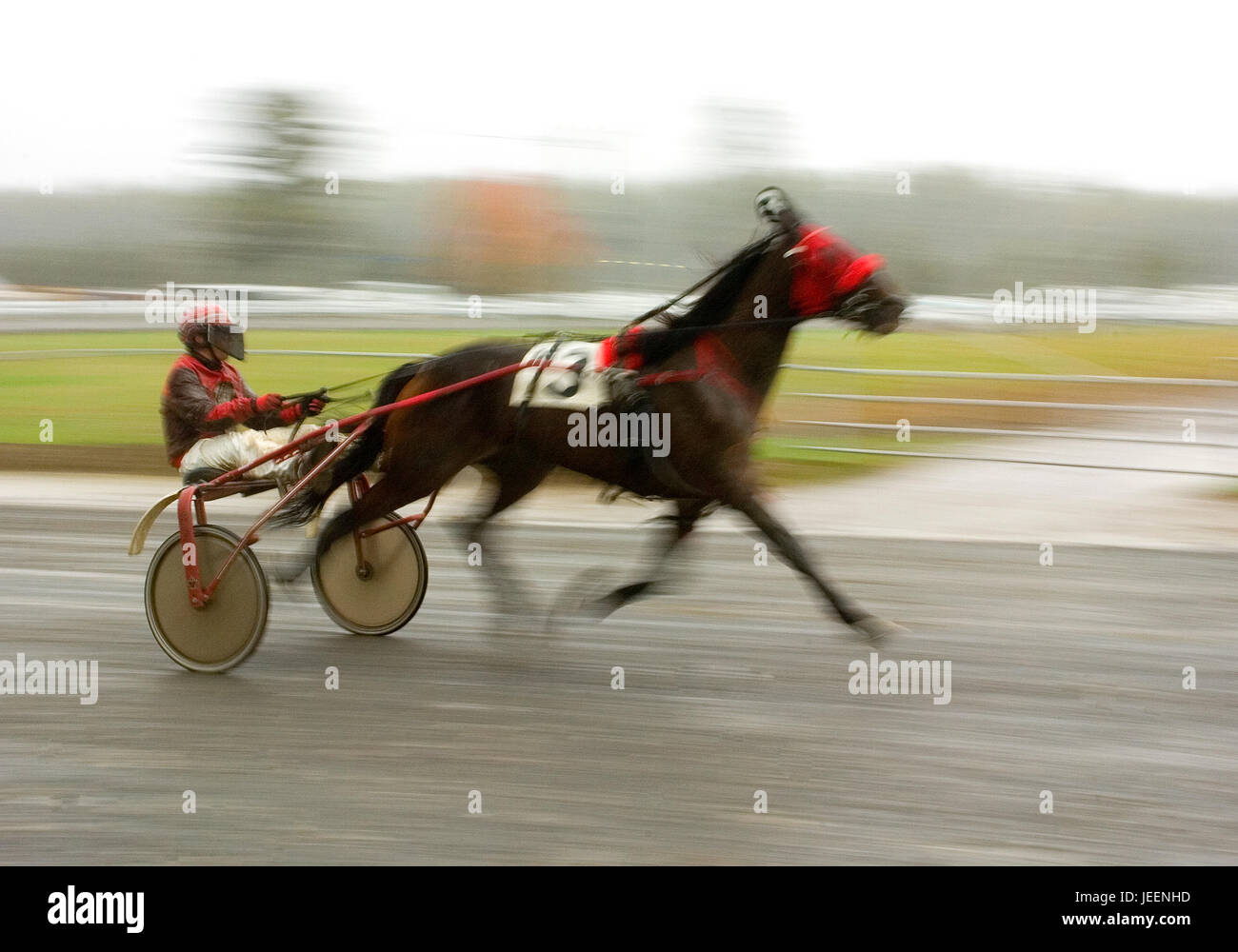Harness racing at the Fryeburg Fair in Fryeburg - Maine,USA Stock Photo ...
