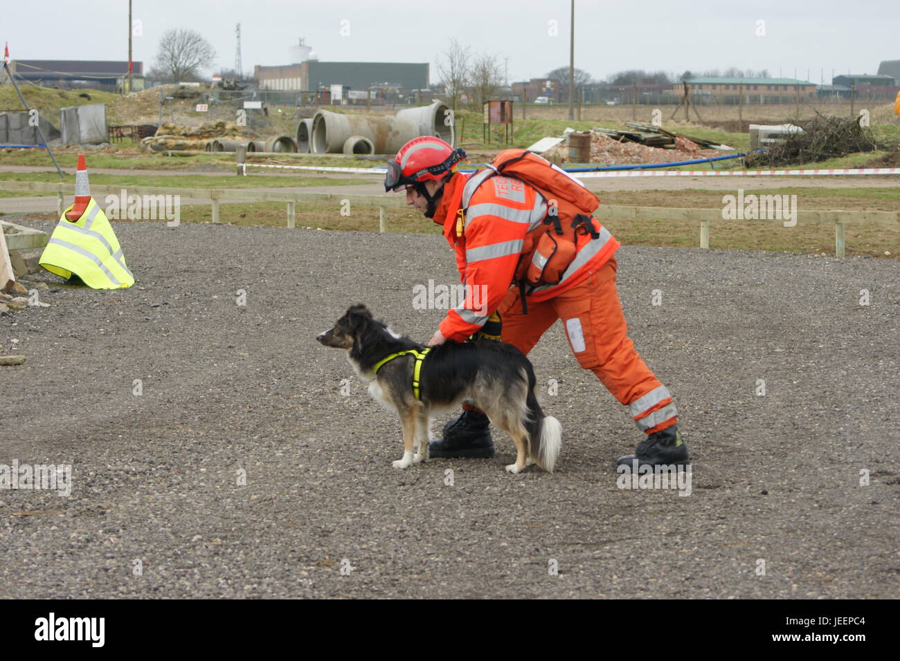 Search And Rescue Dog Equipment at Federico Trout blog