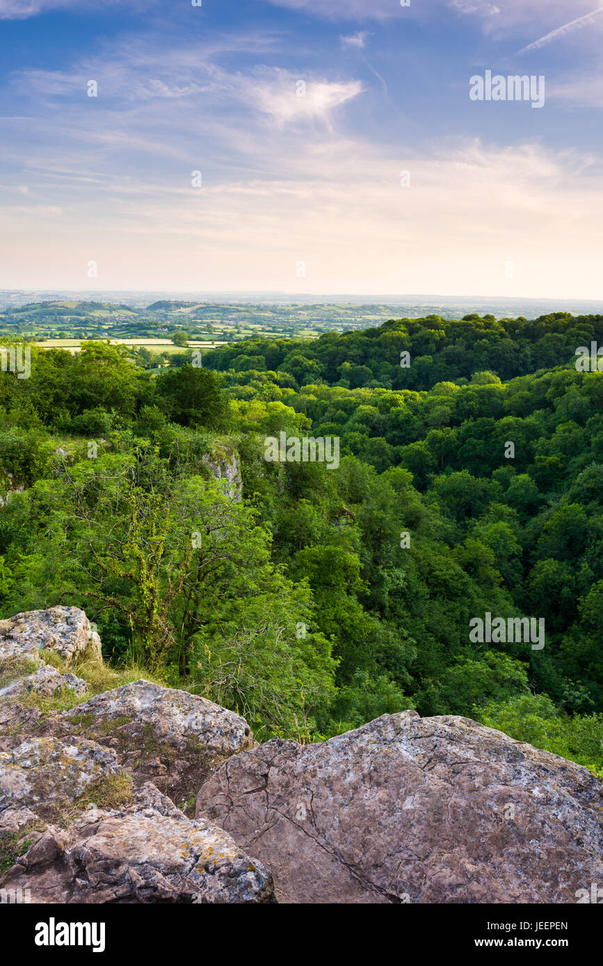 Summer evening view over Ebbor Gorge National Nature Reserve in the ...