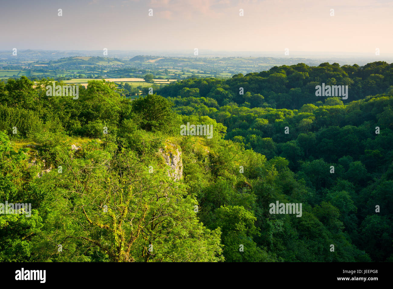 Summer evening view over Ebbor Gorge National Nature Reserve in the ...