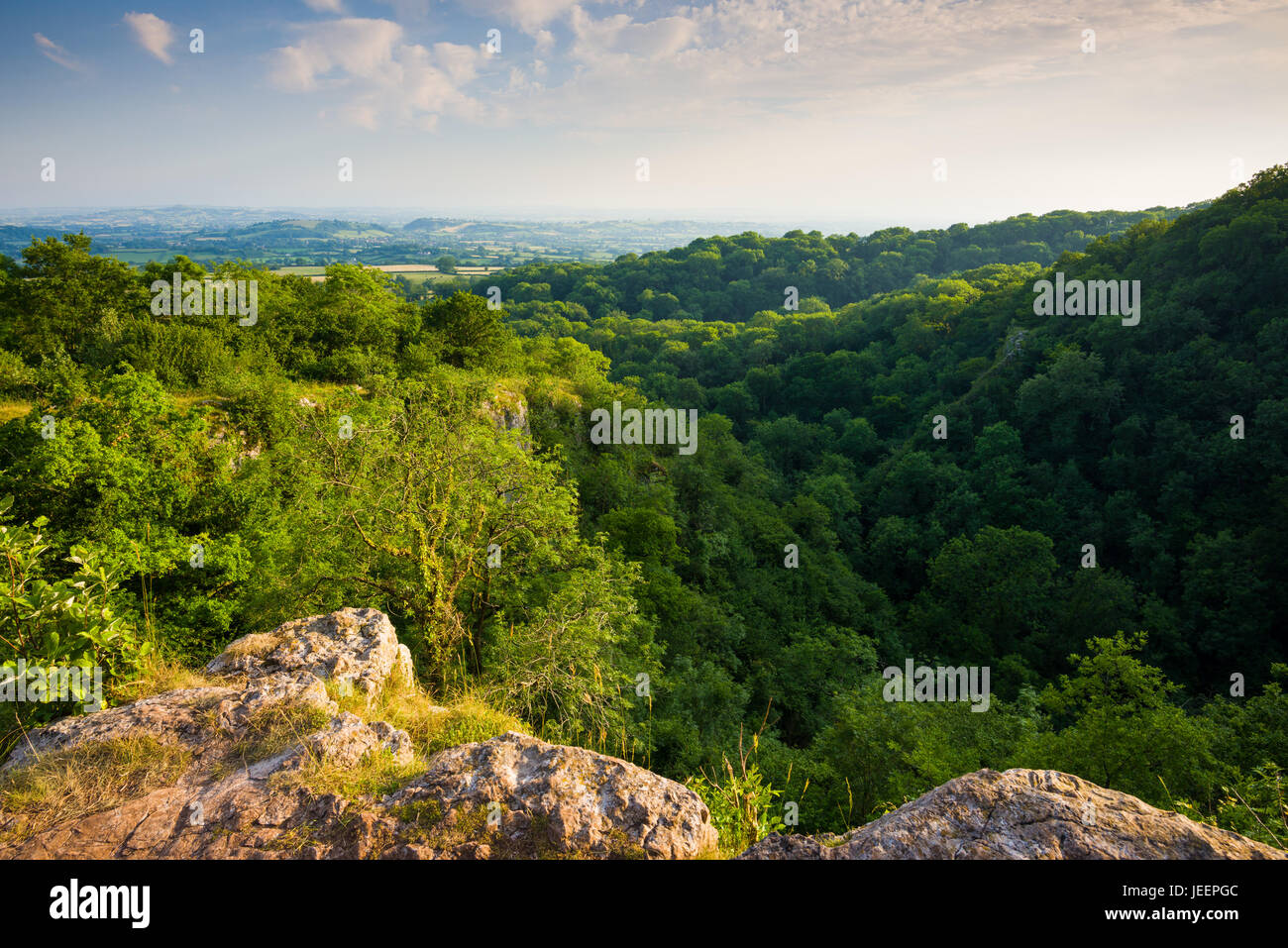 Summer evening view over Ebbor Gorge National Nature Reserve in the ...