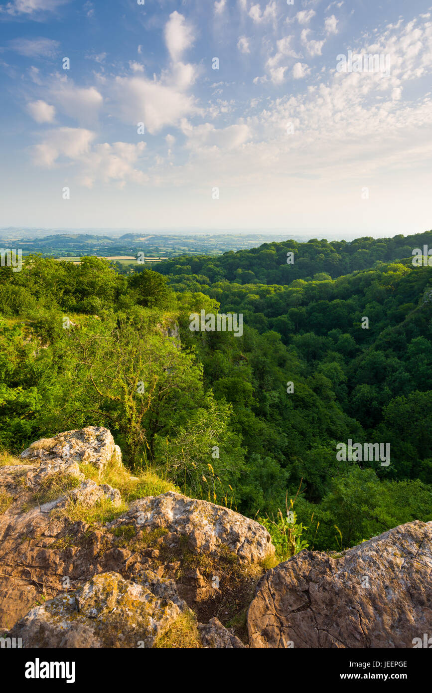 Summer evening view over Ebbor Gorge National Nature Reserve in the ...