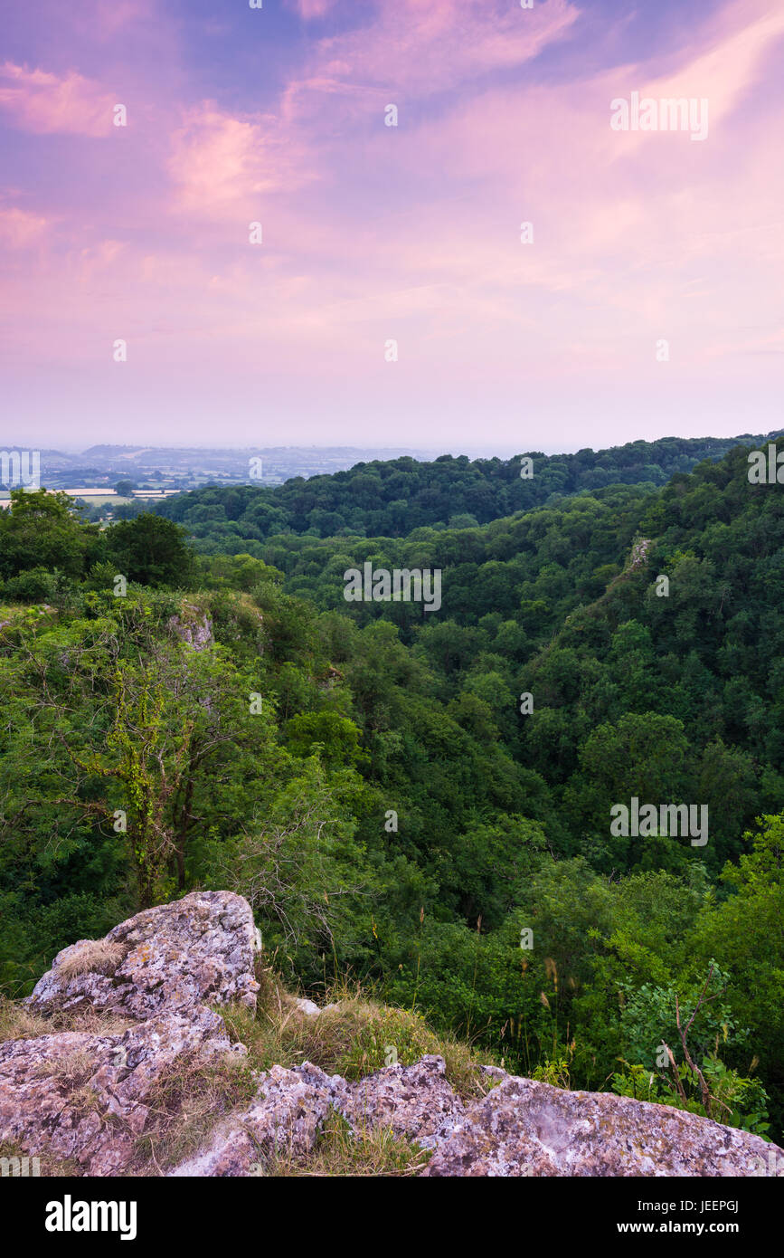 The mendips ebbor hi-res stock photography and images - Alamy