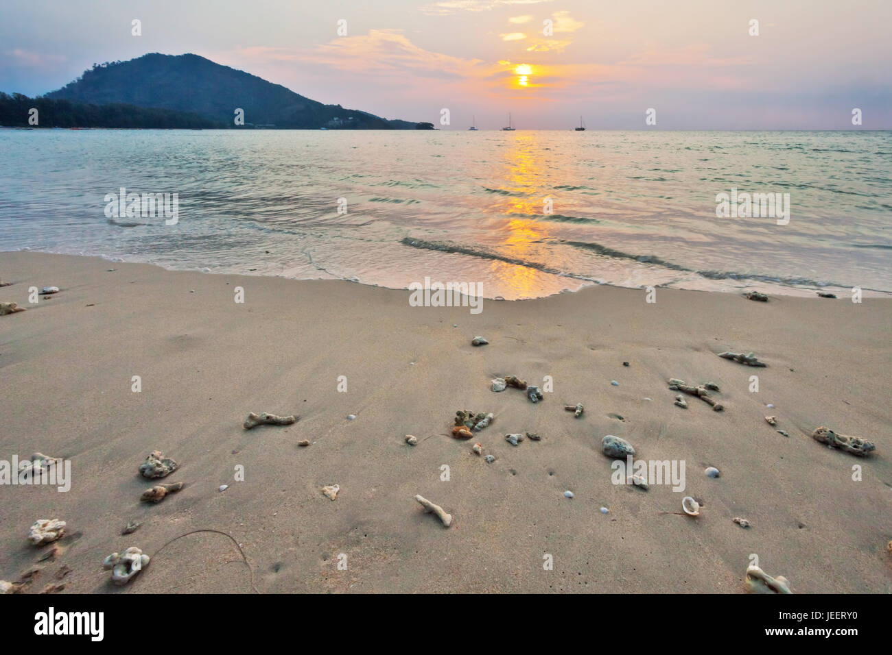 Tropical beach in ebb time on sunset background Stock Photo - Alamy