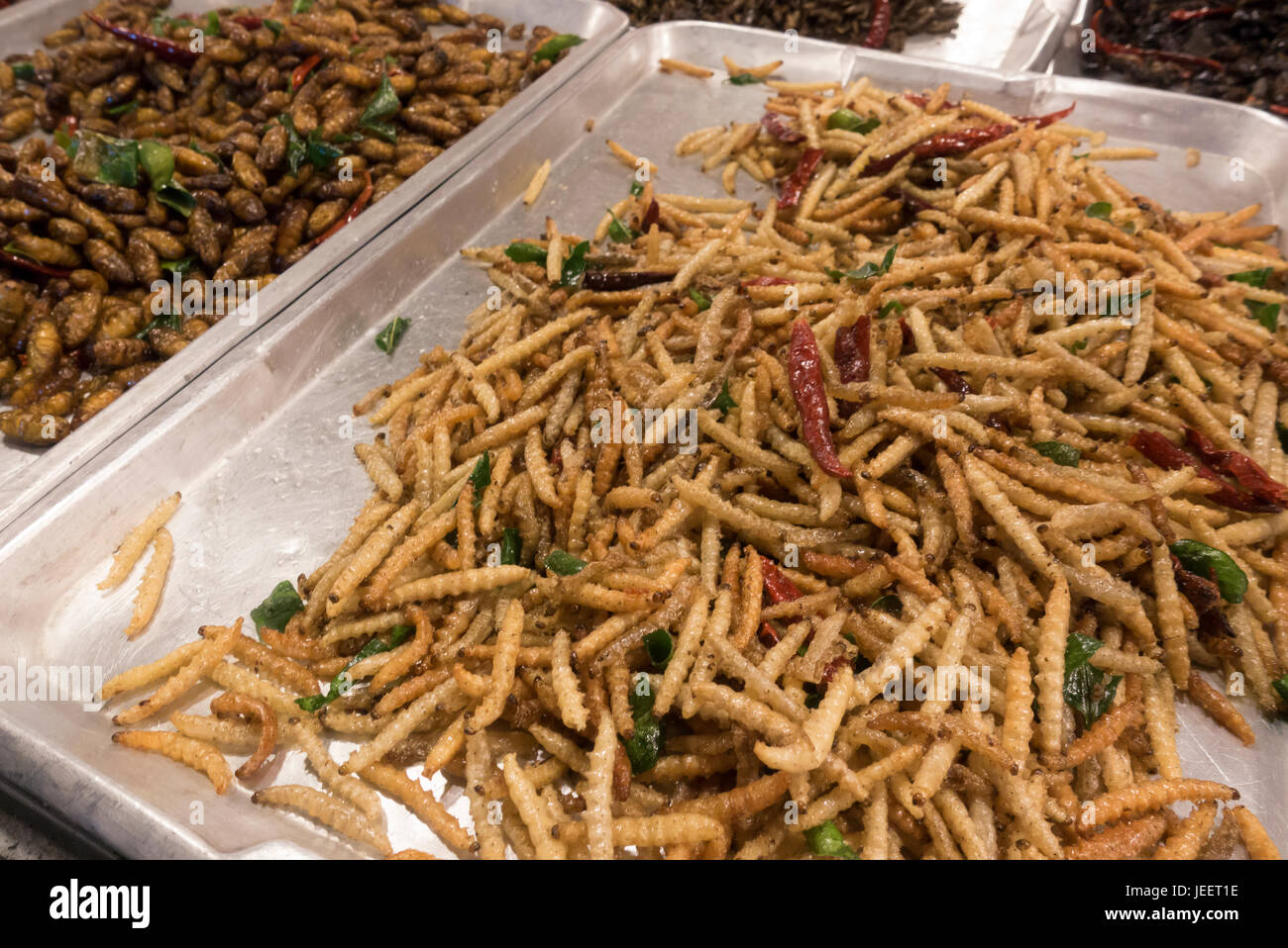 Deep fried caterpillars worms. Famous snack in Thailand Stock Photo - Alamy