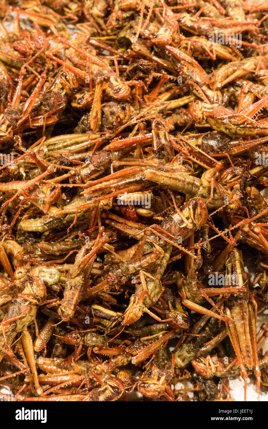 Fried grasshoppers thailand hi-res stock photography and images - Alamy