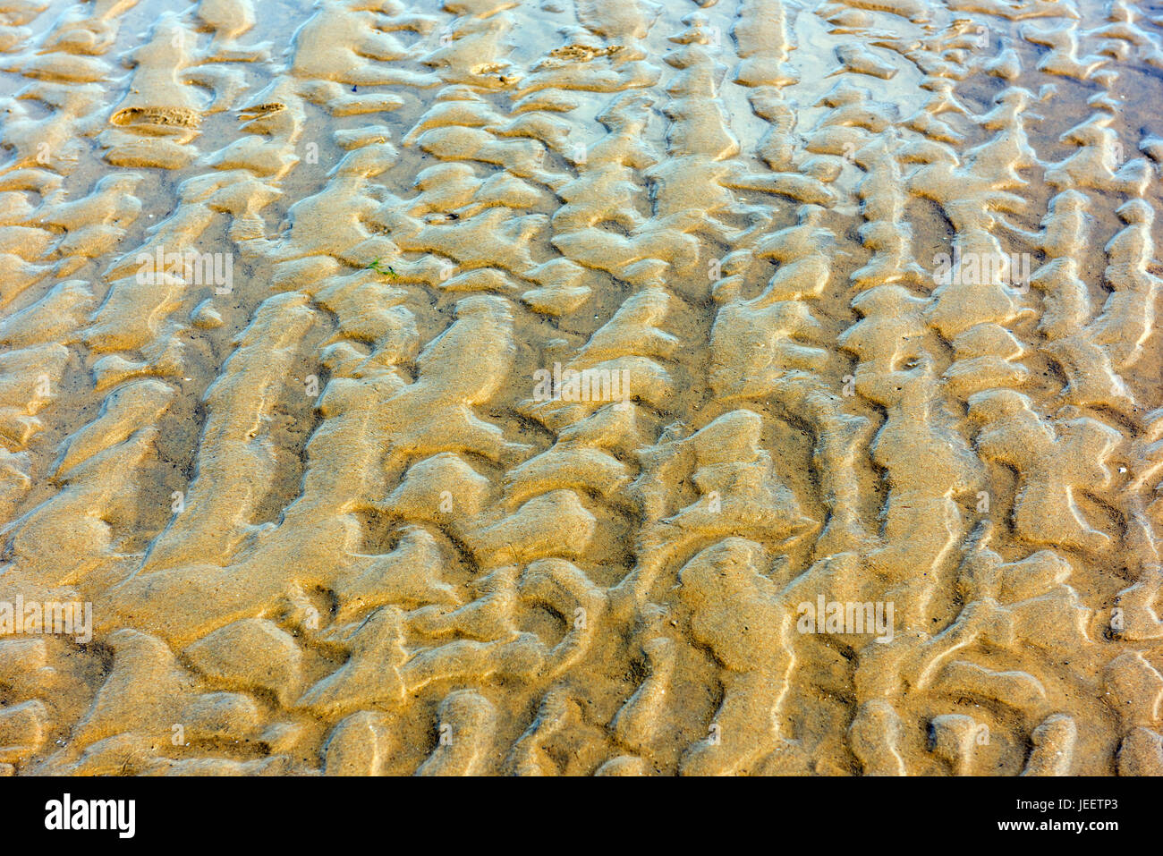 Top view of a sand sea bottom for background and texture Stock Photo ...