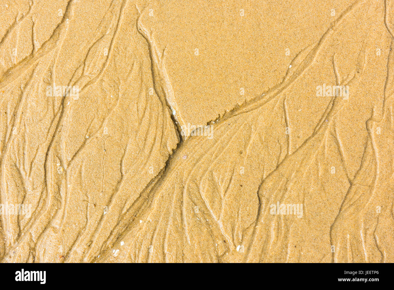 Top view of a sand sea bottom for background and texture Stock Photo ...