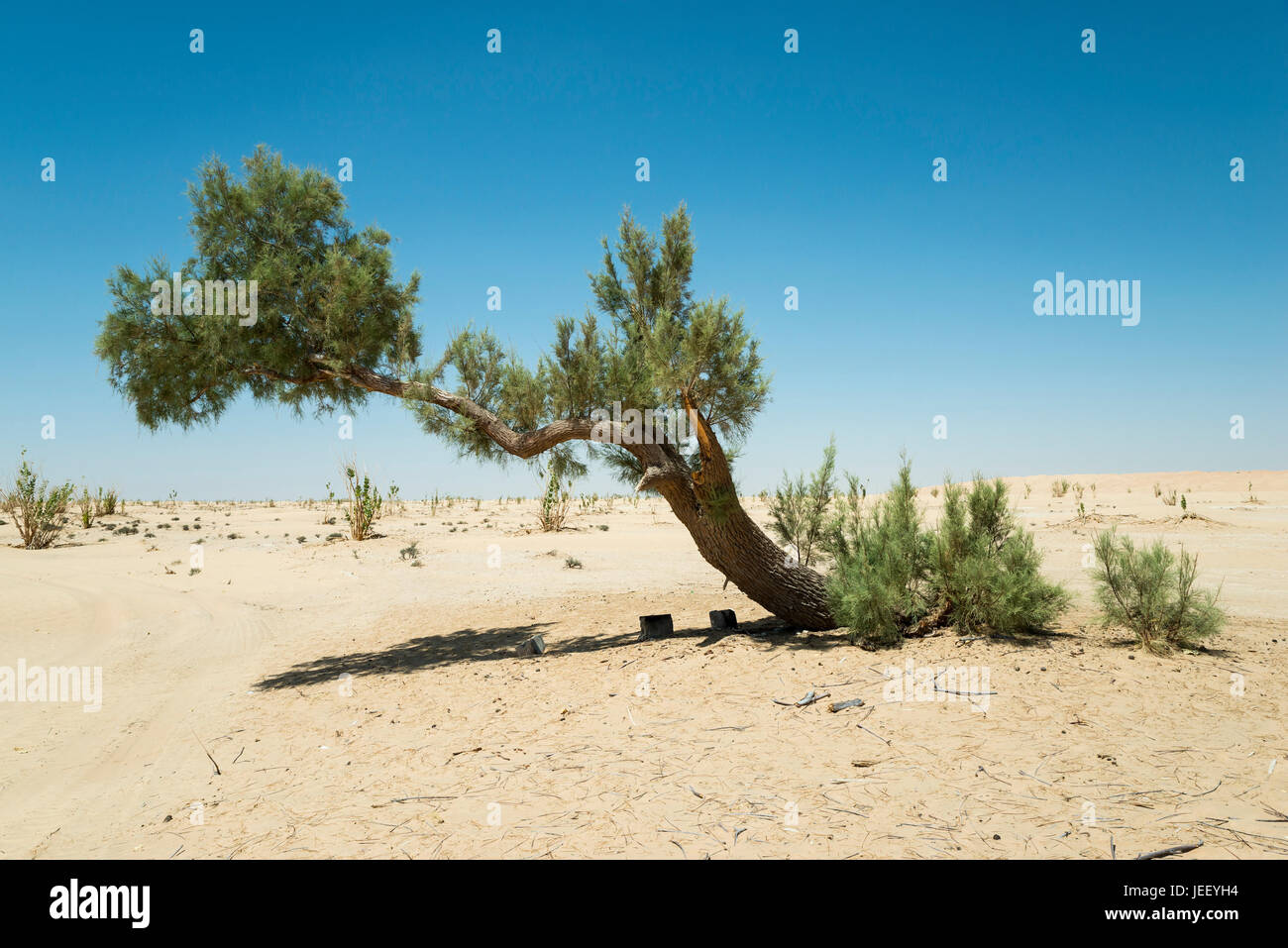 Rub Al Khali desert, Dhofar Governorate, Oman Stock Photo - Alamy
