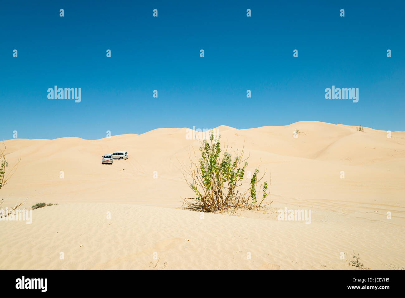 Rub Al Khali desert, Dhofar Governorate, Oman Stock Photo - Alamy