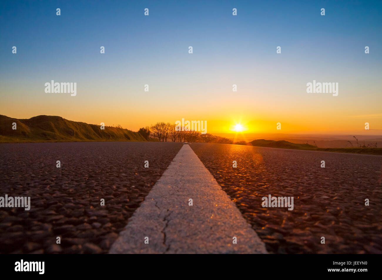 white line in road going off into golden sunset Stock Photo - Alamy