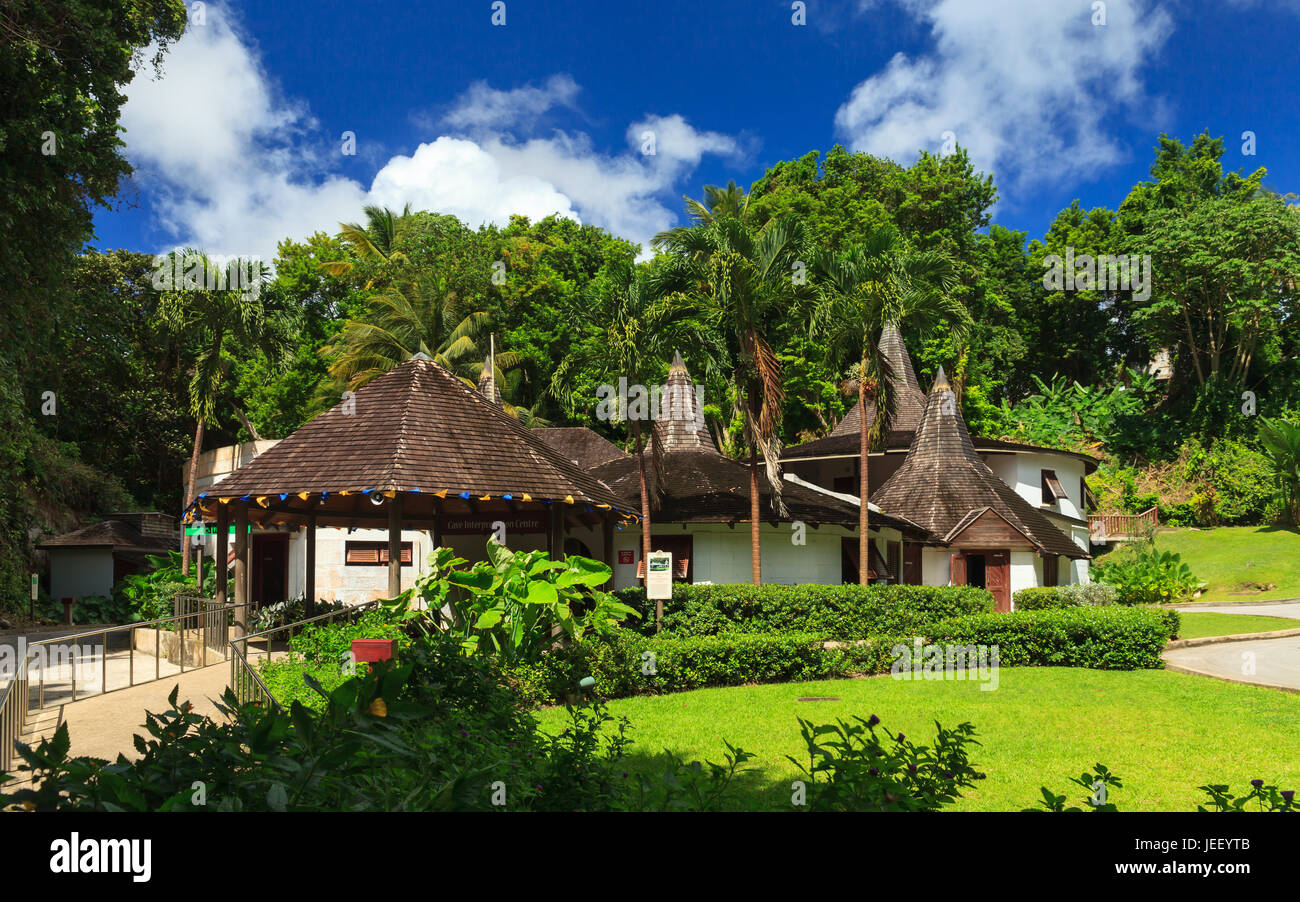 Harrison's Cave in Barbados. The limestone cavern, opened in 1981, and ...