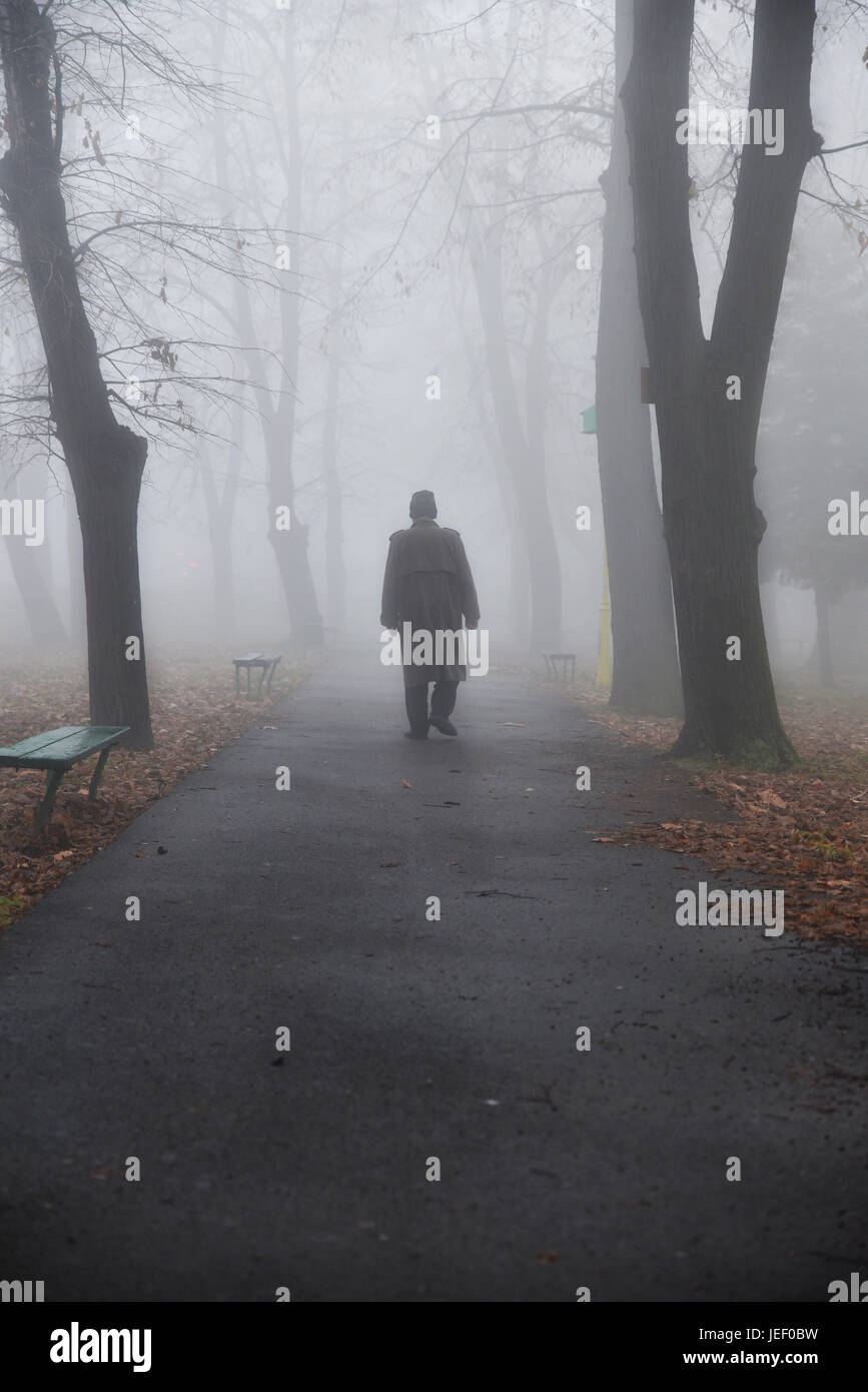 Old man walking in woods alone hi-res stock photography and images - Alamy