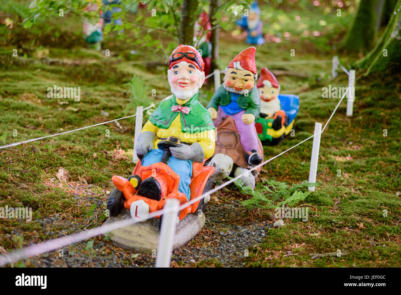 A gnome car race Stock Photo - Alamy