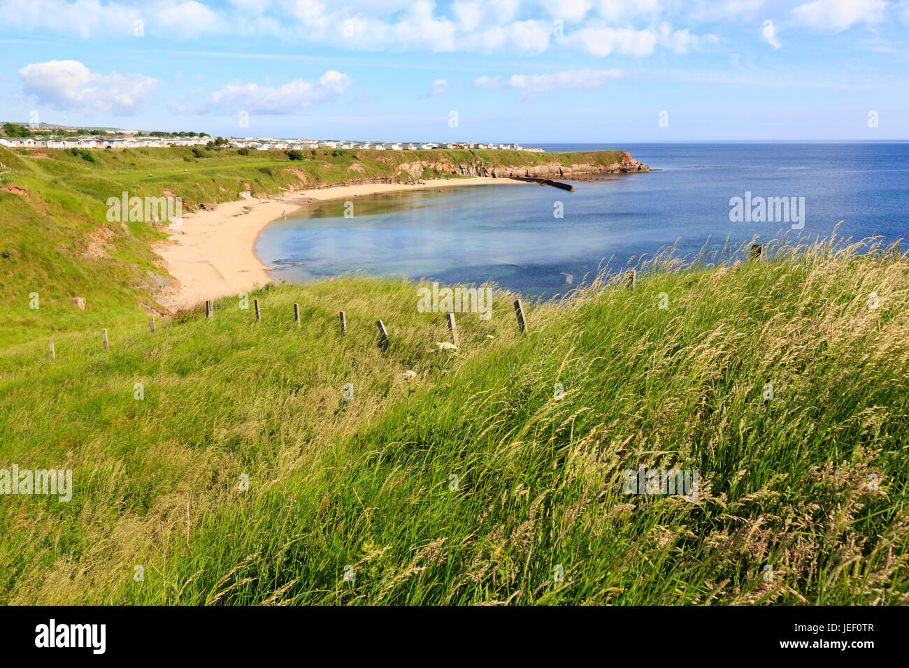 Berwick Haven holiday Caravan park, seen from the Magdalene Fields Golf ...