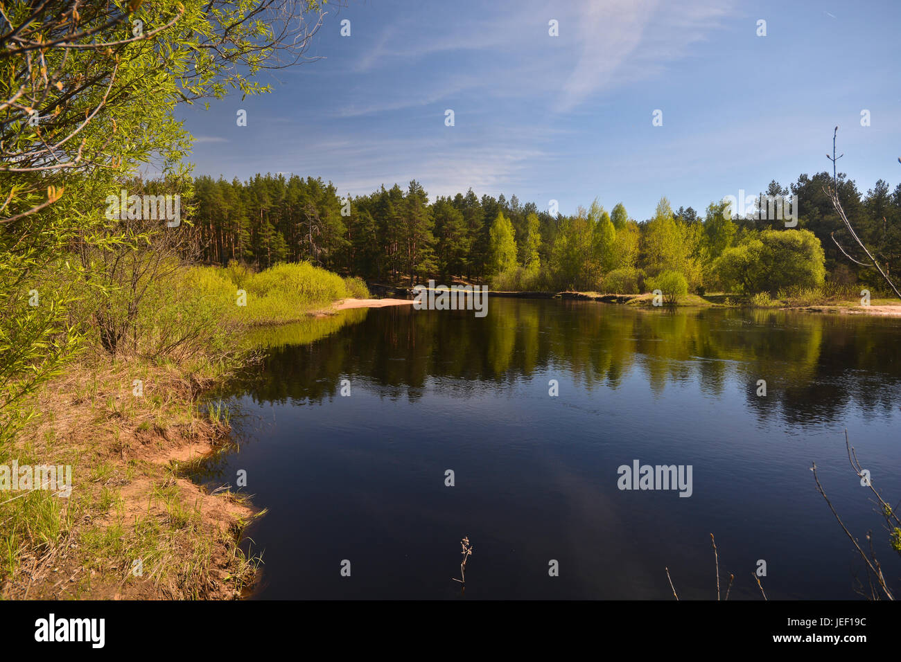 Spring on the forest river. May landscape in the national park of ...