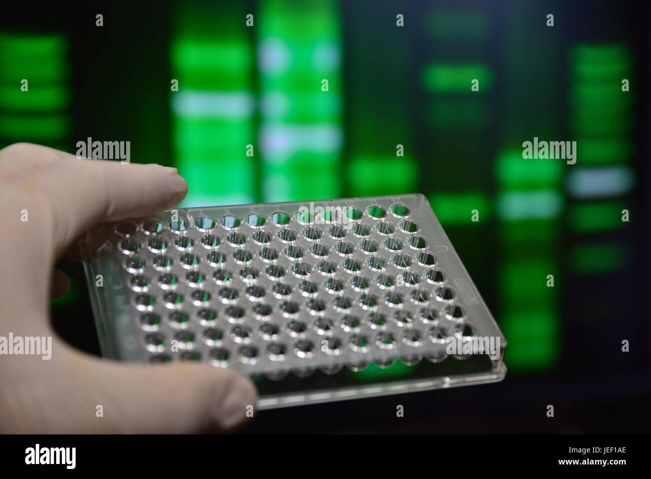 DNA testing in genetic laboratories. Biological scientific equipment ...