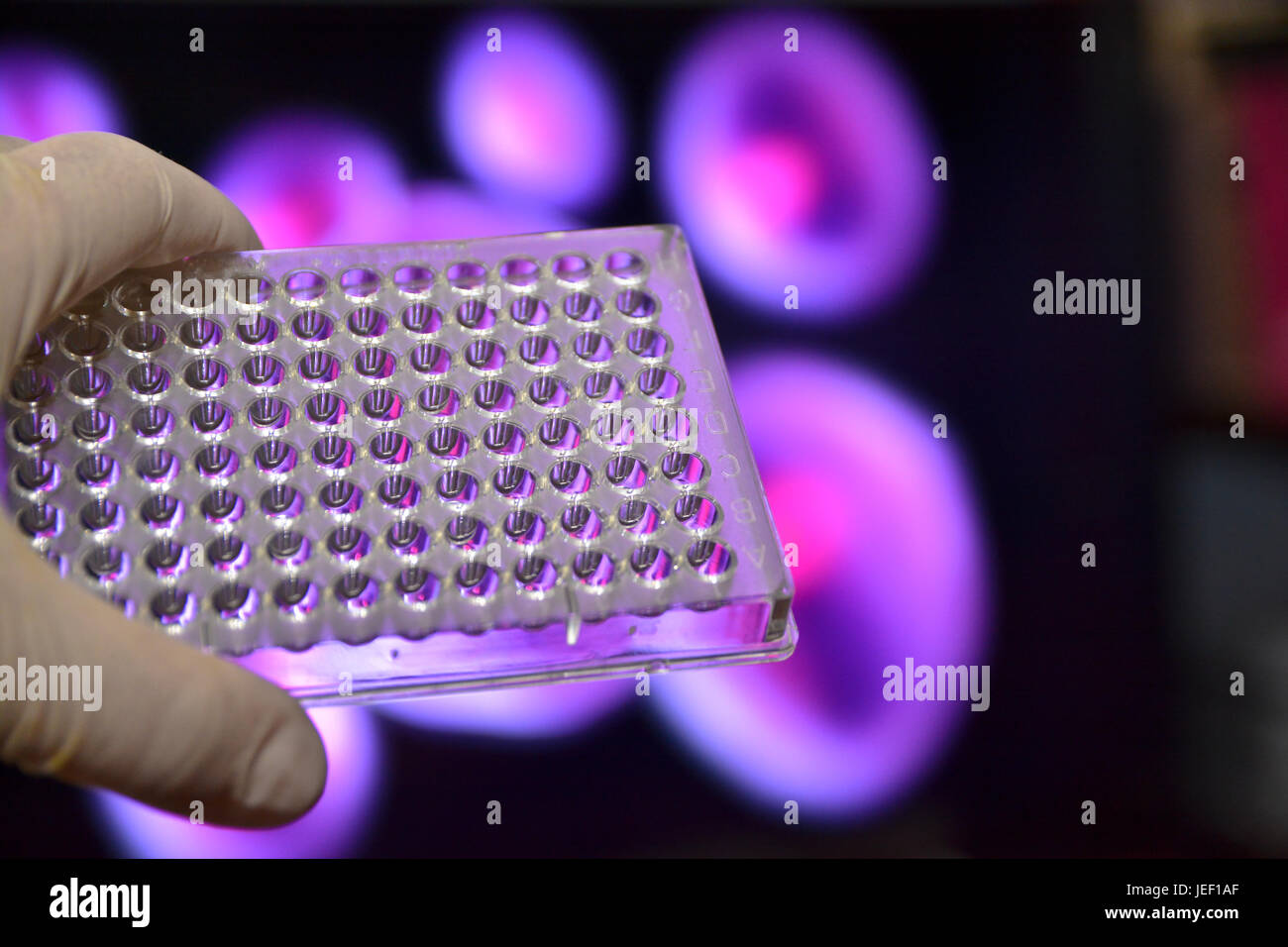 Cell technologies in laboratory research. The equipment of a biological ...