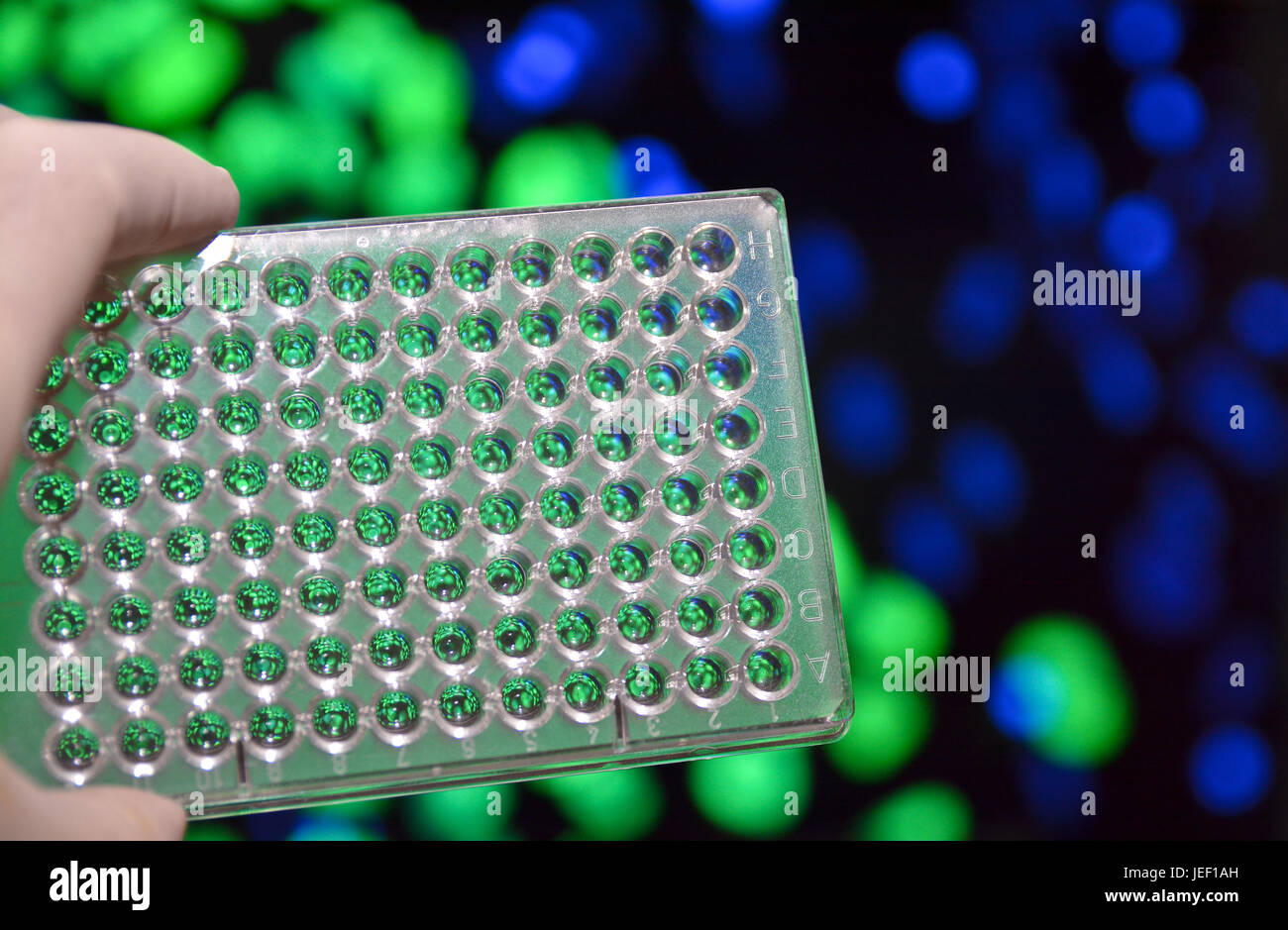 Cell technologies in laboratory research. The equipment of a biological ...