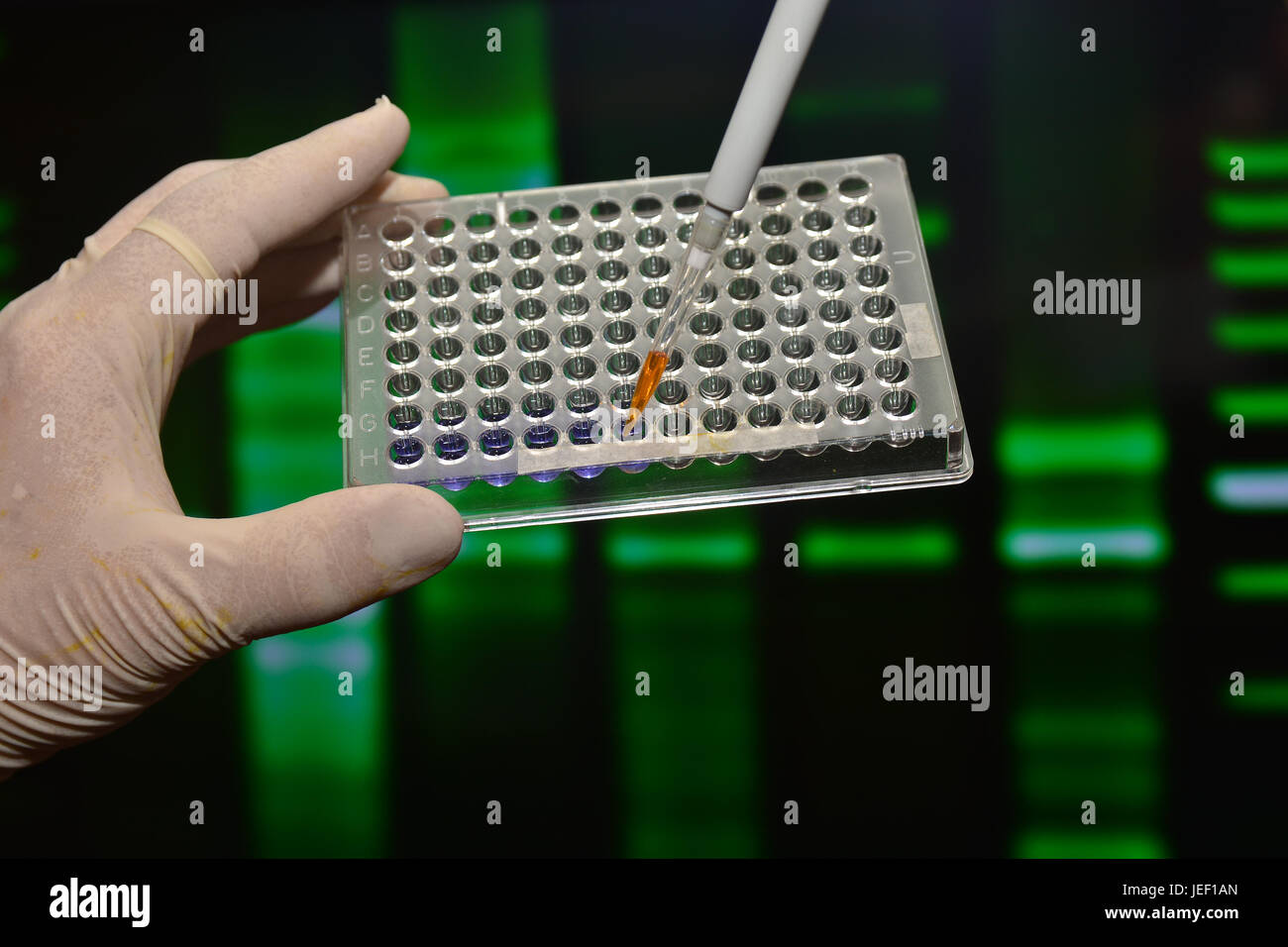 DNA testing in genetic laboratories. Biological scientific equipment ...
