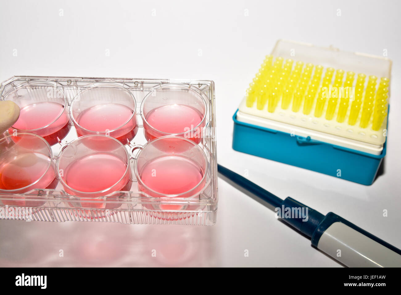 Human cell backgrounds hi-res stock photography and images - Alamy