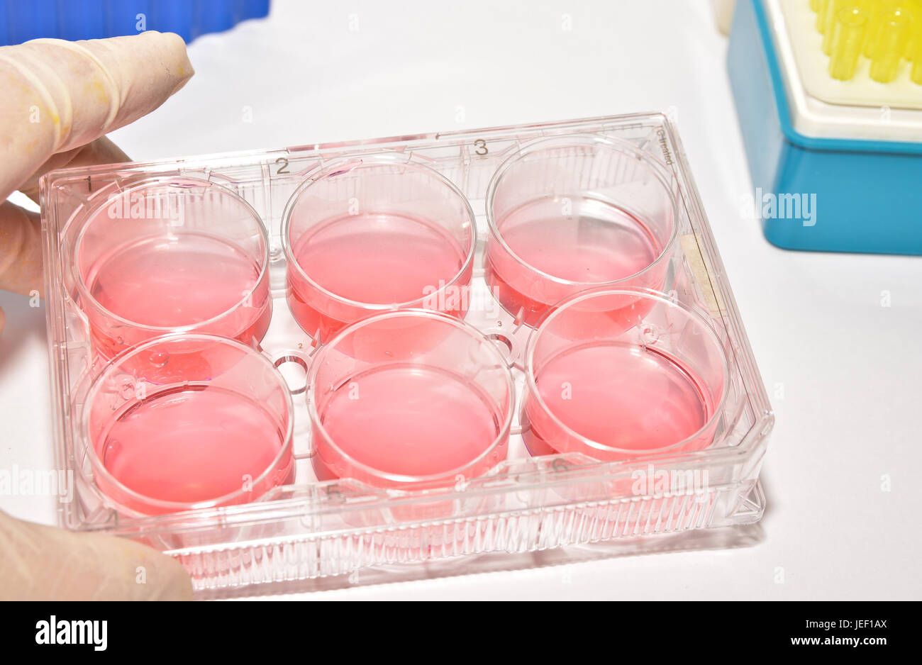 Cell technologies in laboratory research. The equipment of a biological ...