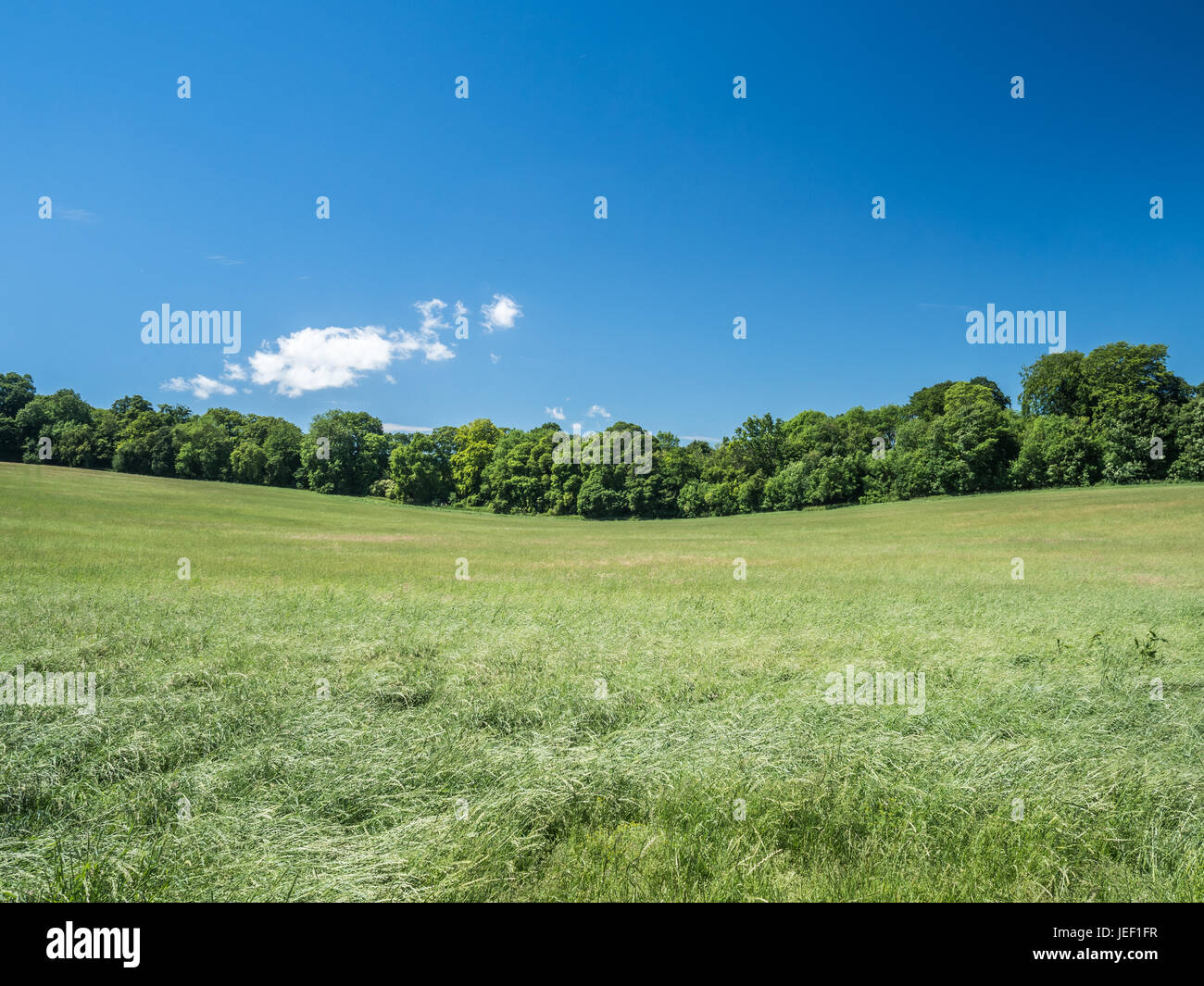 Field dip hi-res stock photography and images - Alamy