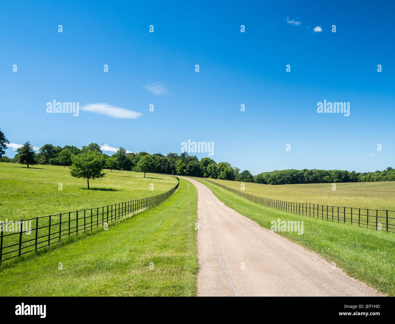 A pale country road beneath clear blue skies and receding into a ...
