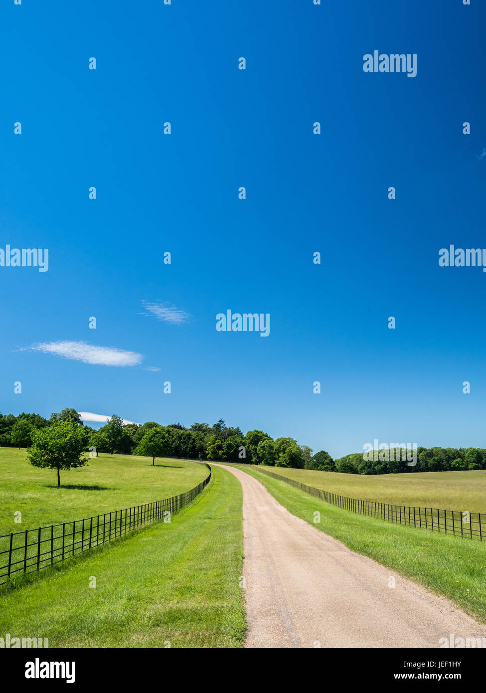A pale country road beneath clear blue skies and receding into a ...
