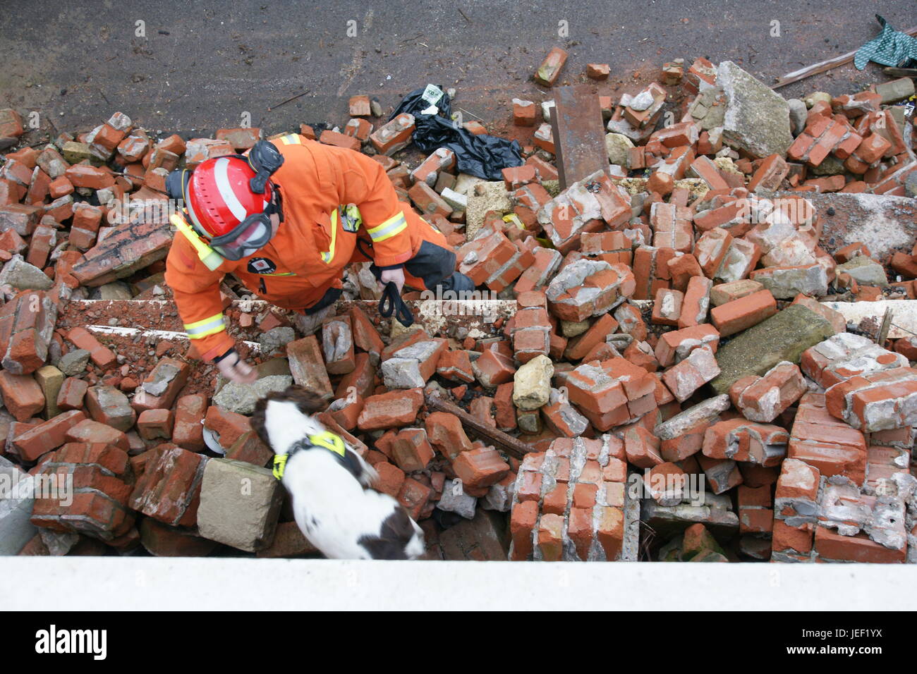 urban search and rescue dog handler, USAR Stock Photo - Alamy