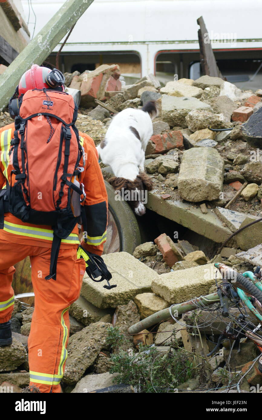 Usar k9 team hi-res stock photography and images - Alamy
