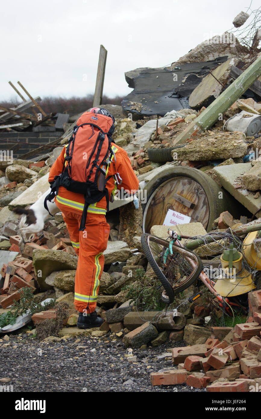 Usar k9 team hi-res stock photography and images - Alamy