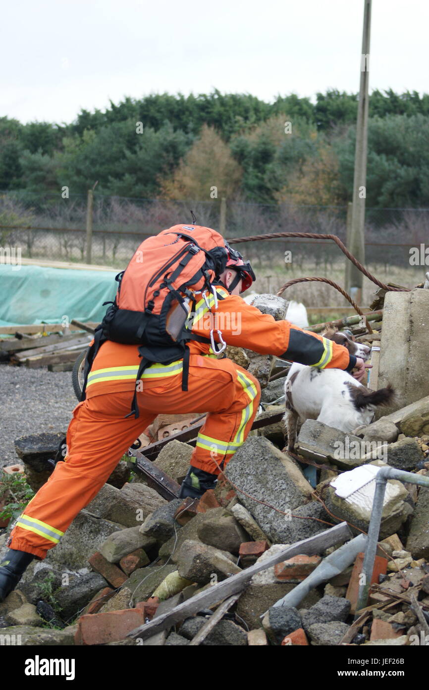 Usar k9 team hi-res stock photography and images - Alamy