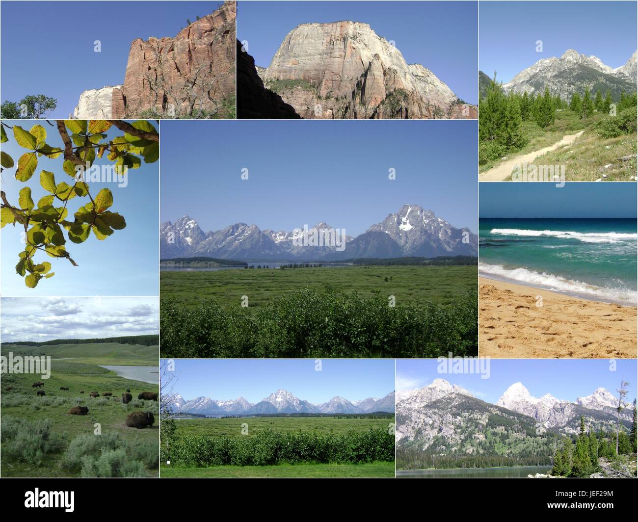 Scenic Rocky Mountains Outdoors Collage.Jpg Stock Photo - Alamy