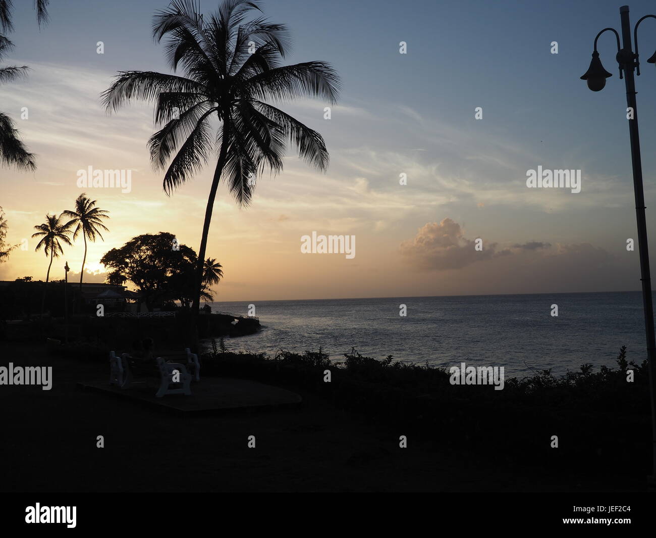 Palm Tree Sunset Stock Photo - Alamy