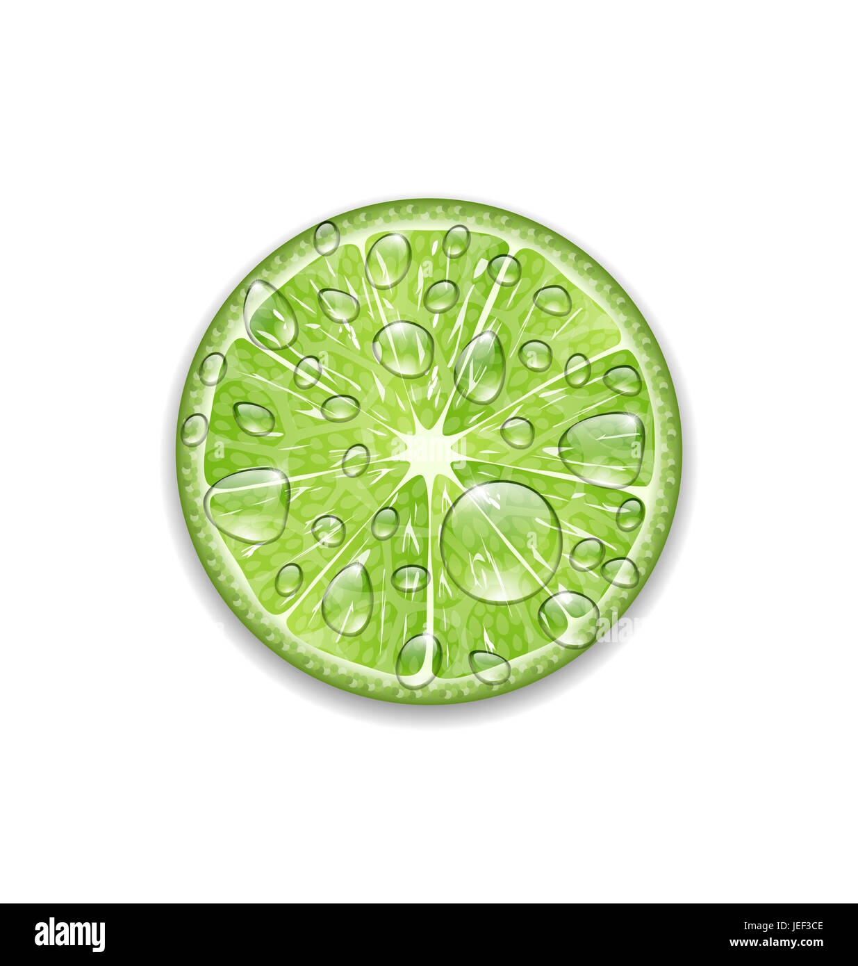 Juicy LIME. Extremely detailed illustration, created with love to ...