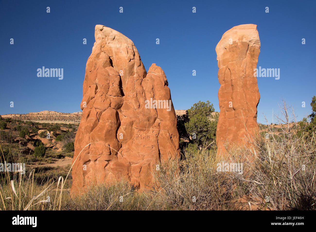Rocks in the Devil's guards in Utah, North America, Felsen im Devil´s ...