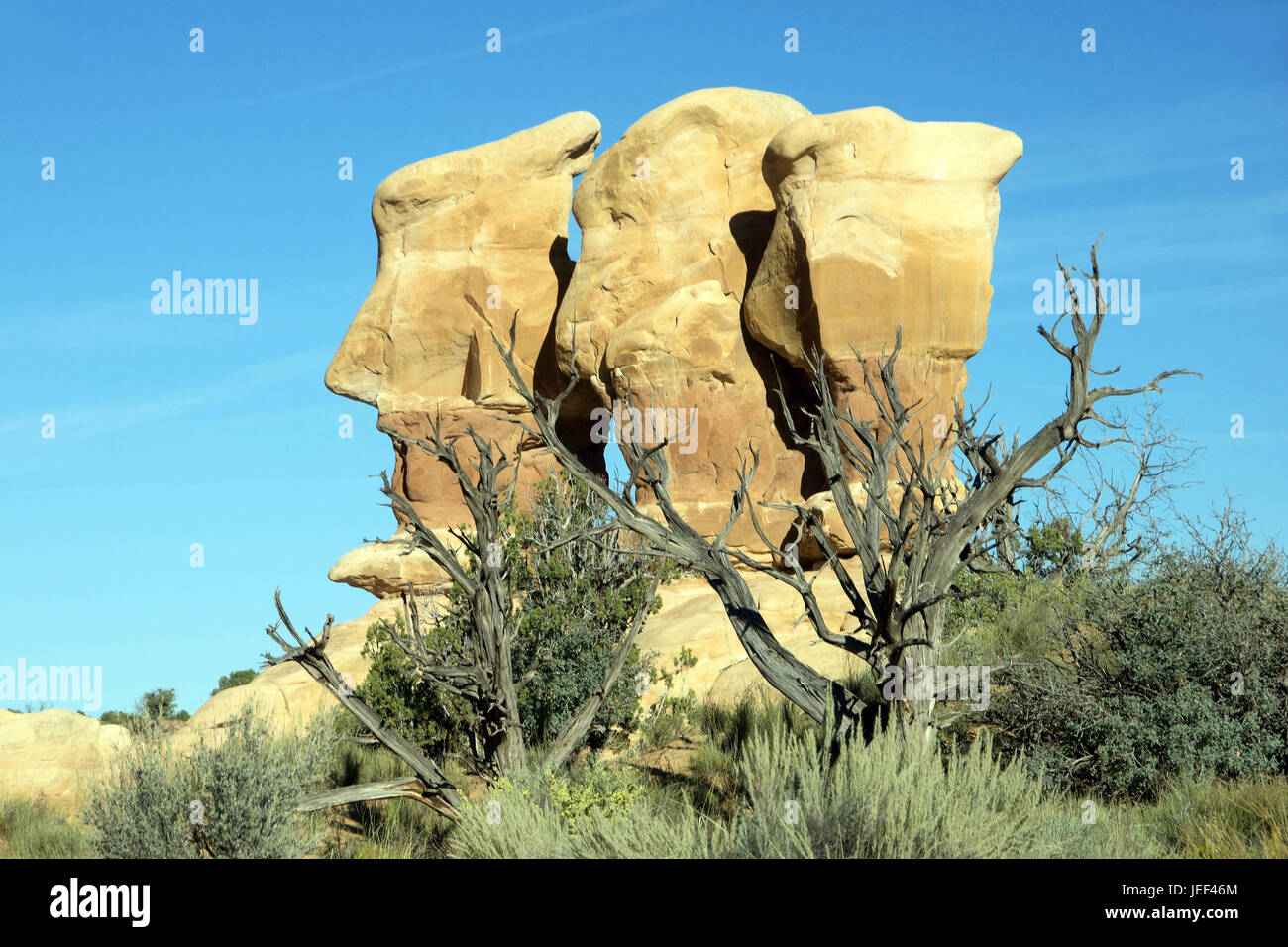 Rocks in the Devil's guards in Utah, North America, Felsen im Devil´s ...